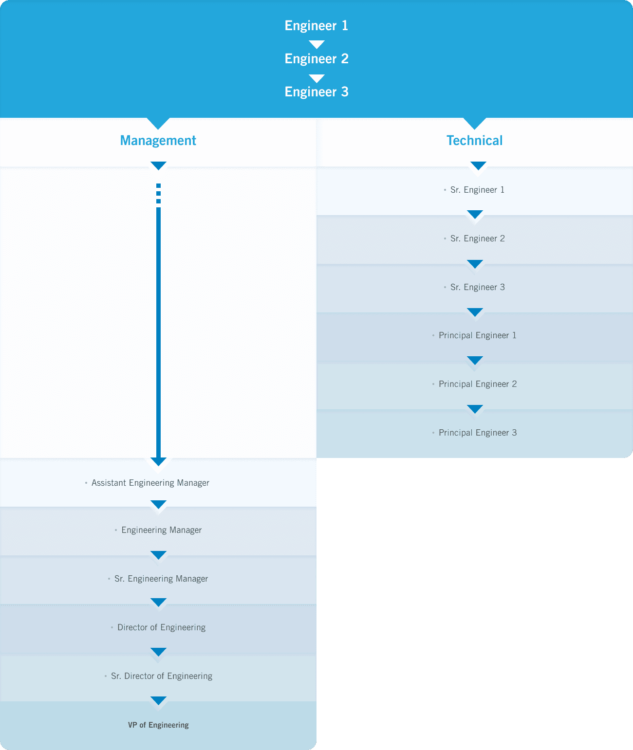 Engineering - Leadership Development Program - Techtronic Industries TTI